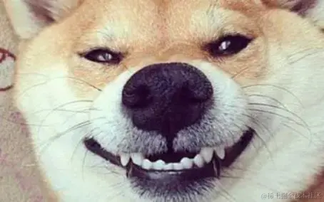 Vben-Admin之Form组件篇去年的今天我写了关于Vben第一篇文章，今天突发奇想更新下关于Vben的文章，准备发 - 掘金