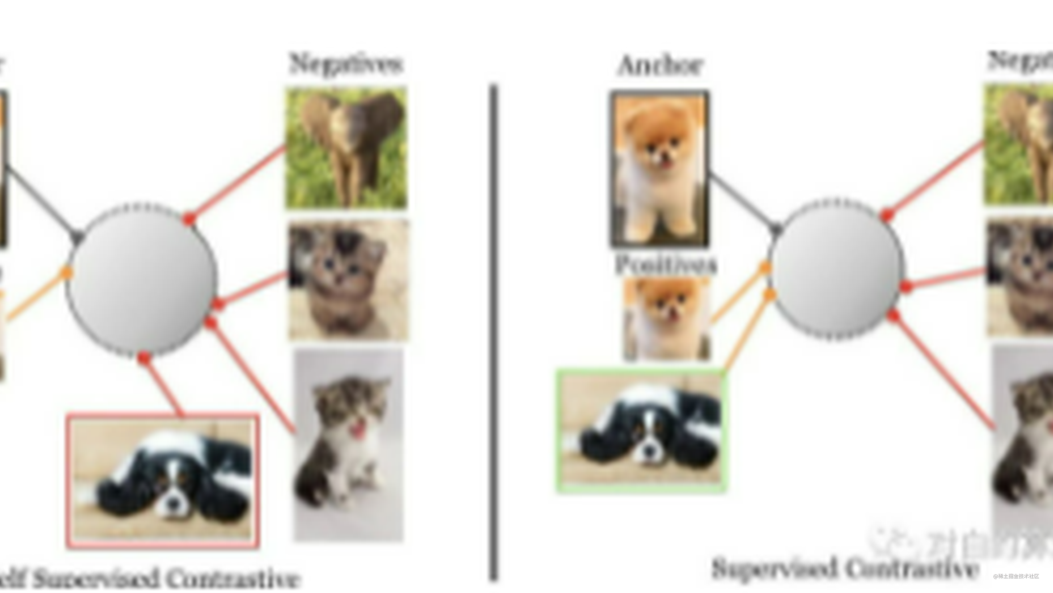 对比学习（Contrastive Learning）在CV与NLP领域中的研究进展 - 掘金