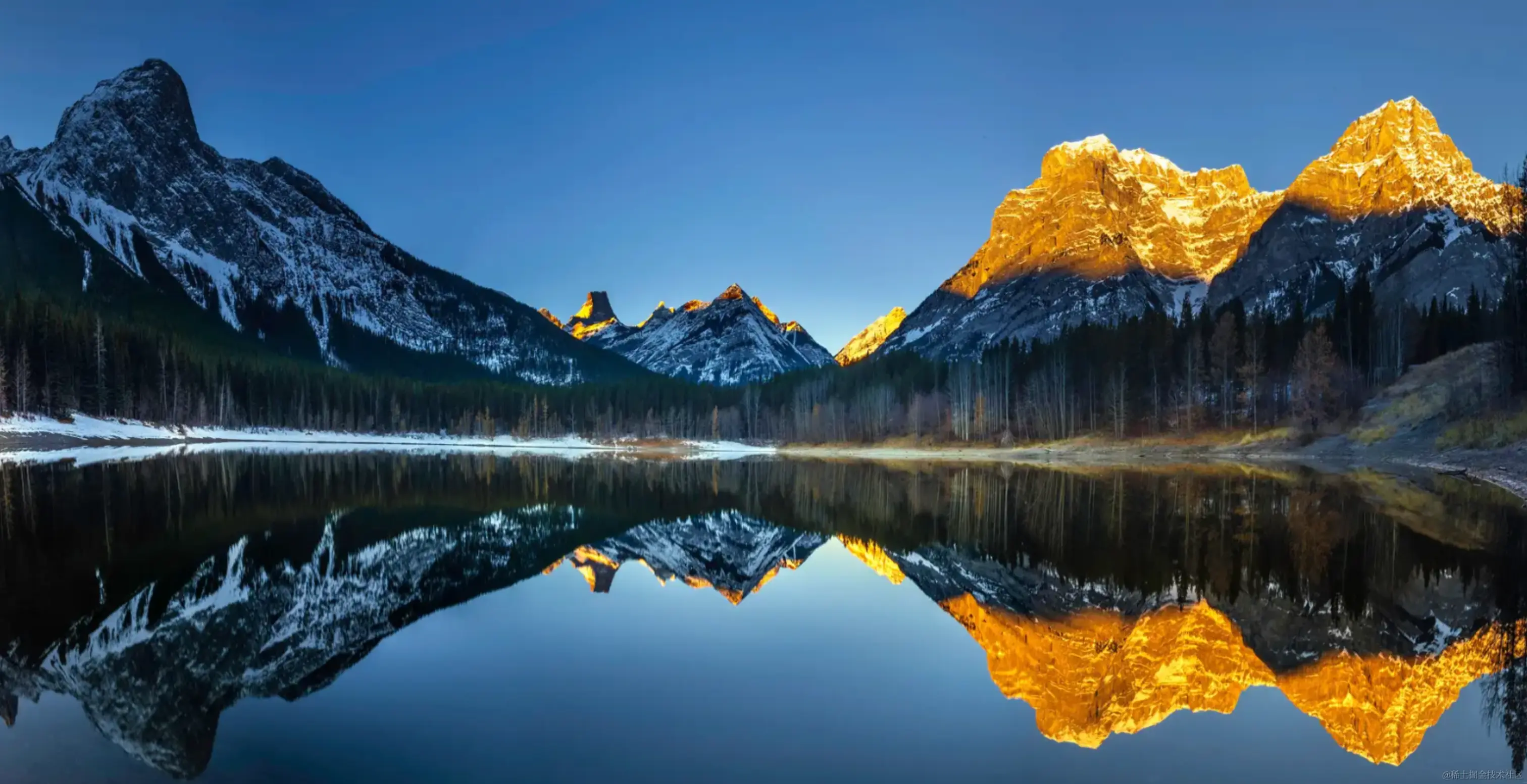 【React系列】React 常见的知识点 (2w字)不知不觉使用 React 也有一段时间了，最近也在学习 Reac - 掘金