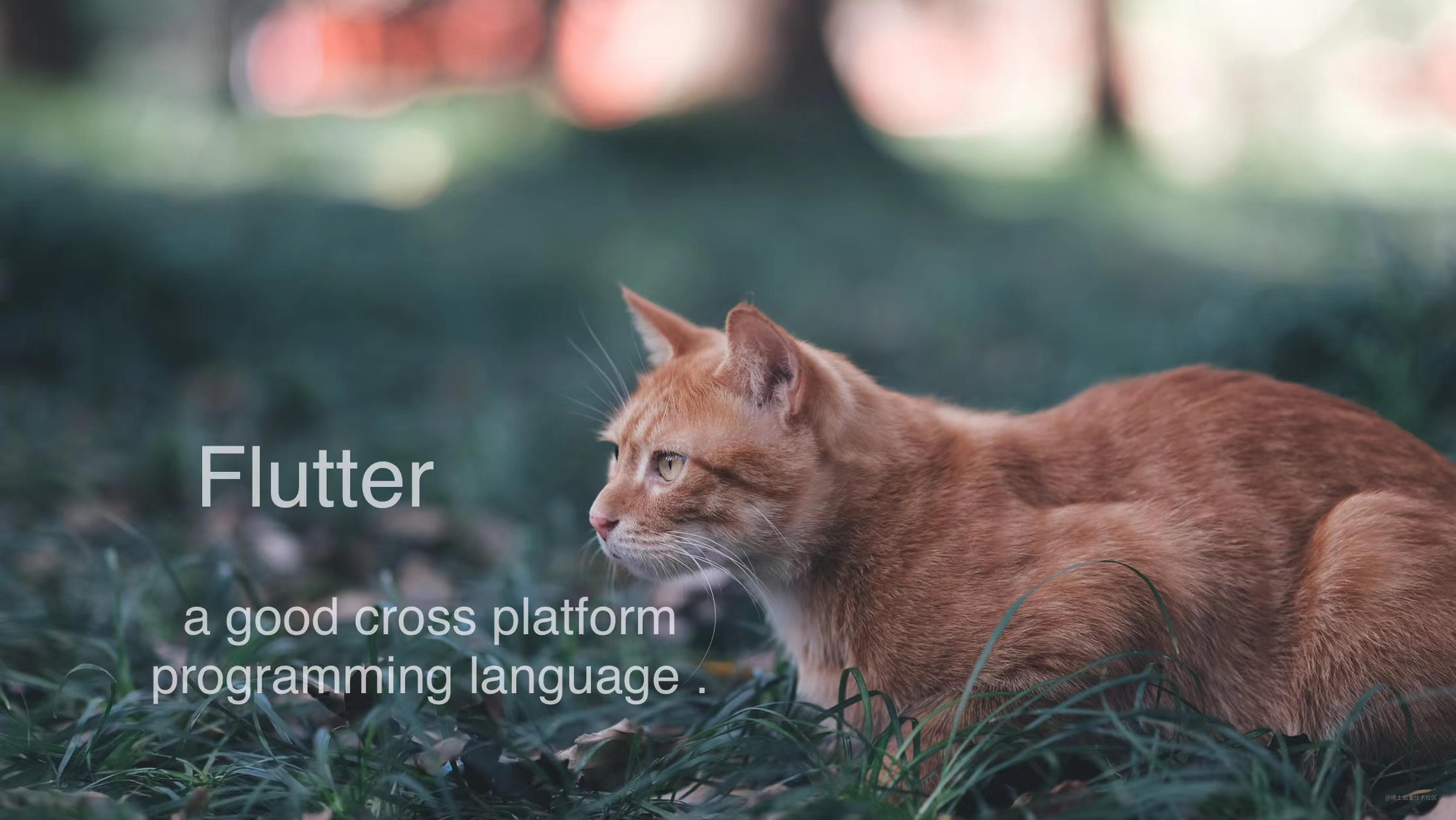 Flutter 网络请求之dio三方库建议使用 掘金