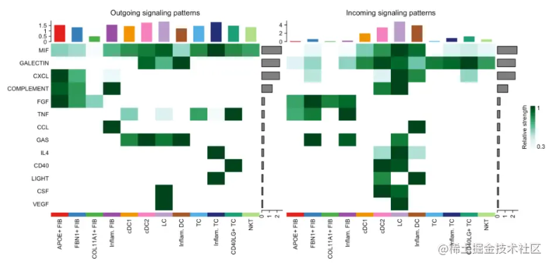SC| CellChat实操 - 掘金