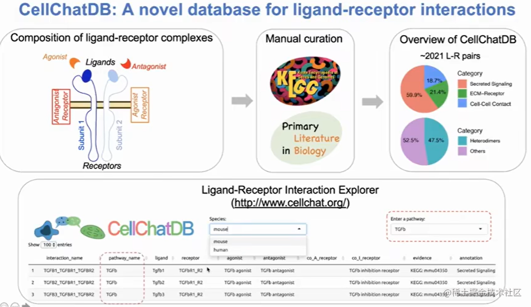 SC| CellChat实操 - 掘金