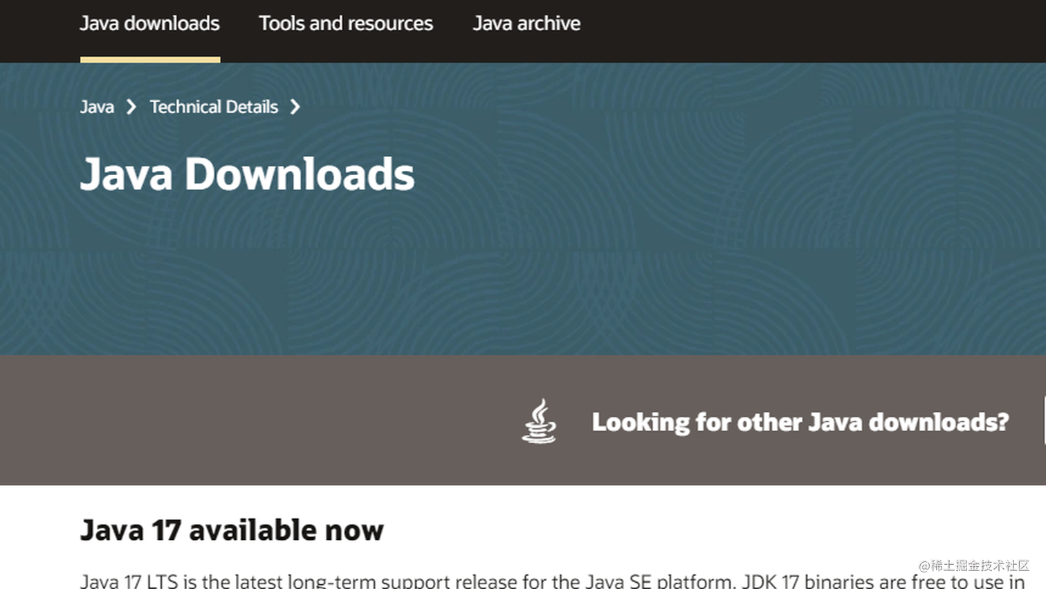 在 idea 中配置 jdk17 - 掘金