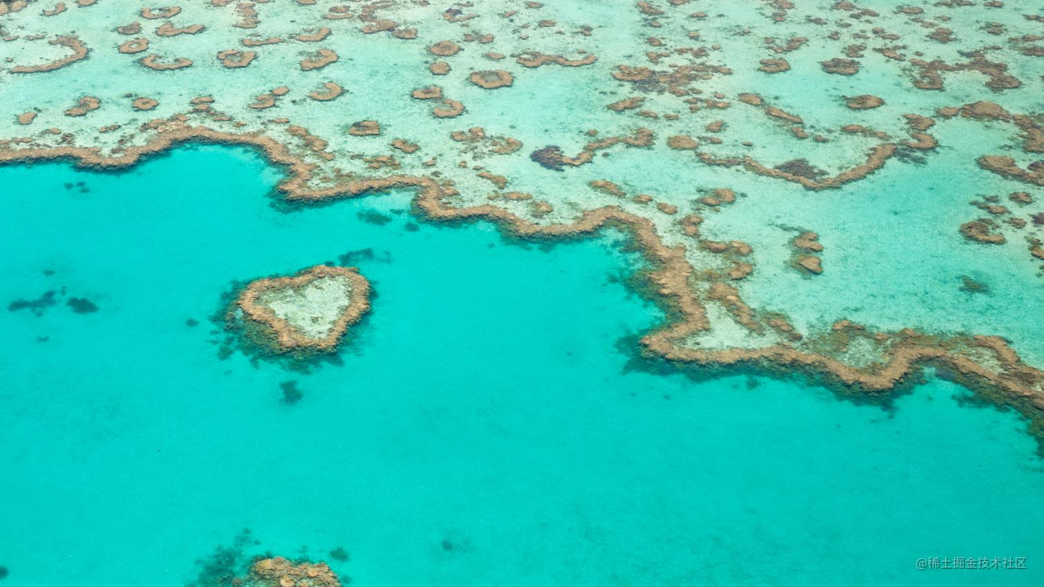 如何使用PaddleOCR训练好的推理模型快速进行推理实战 - 掘金