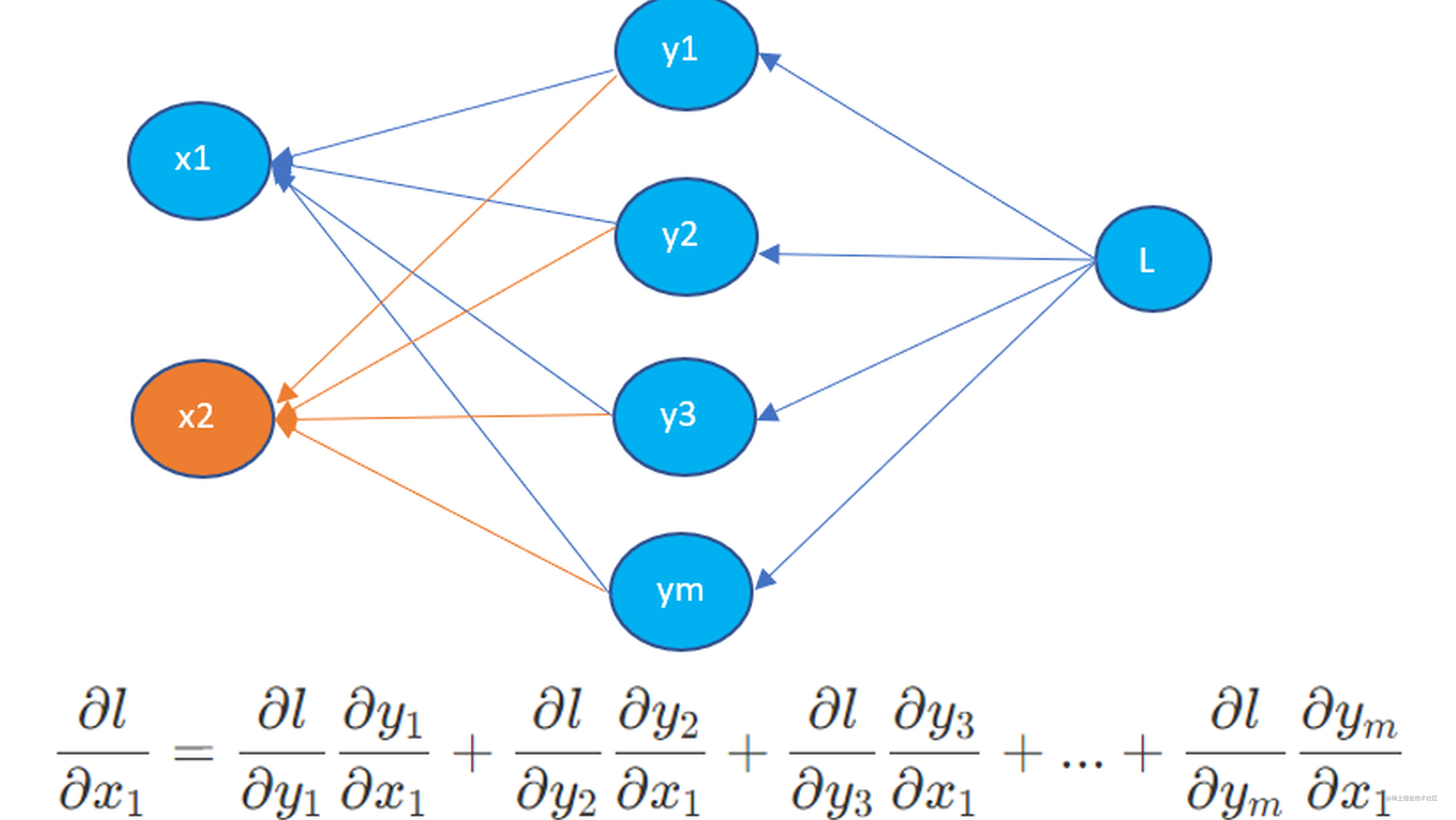 pytorch 自动微分基础原理 - 掘金