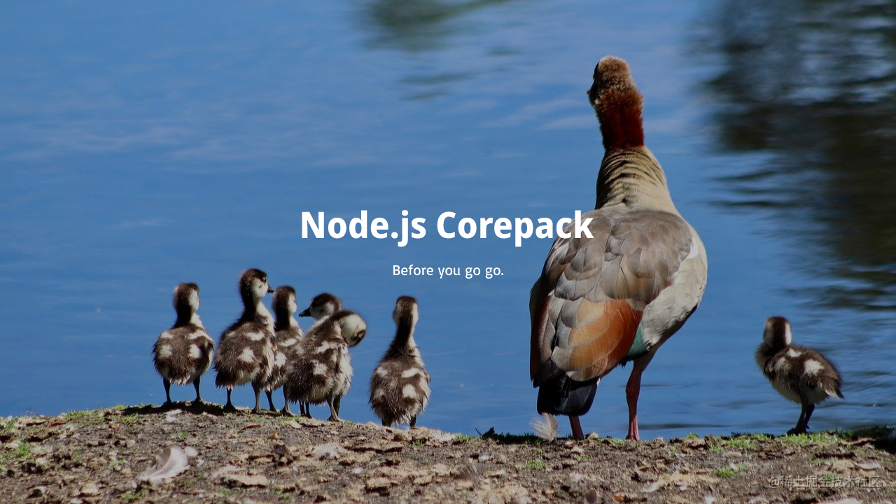 Node.js Corepack - 掘金