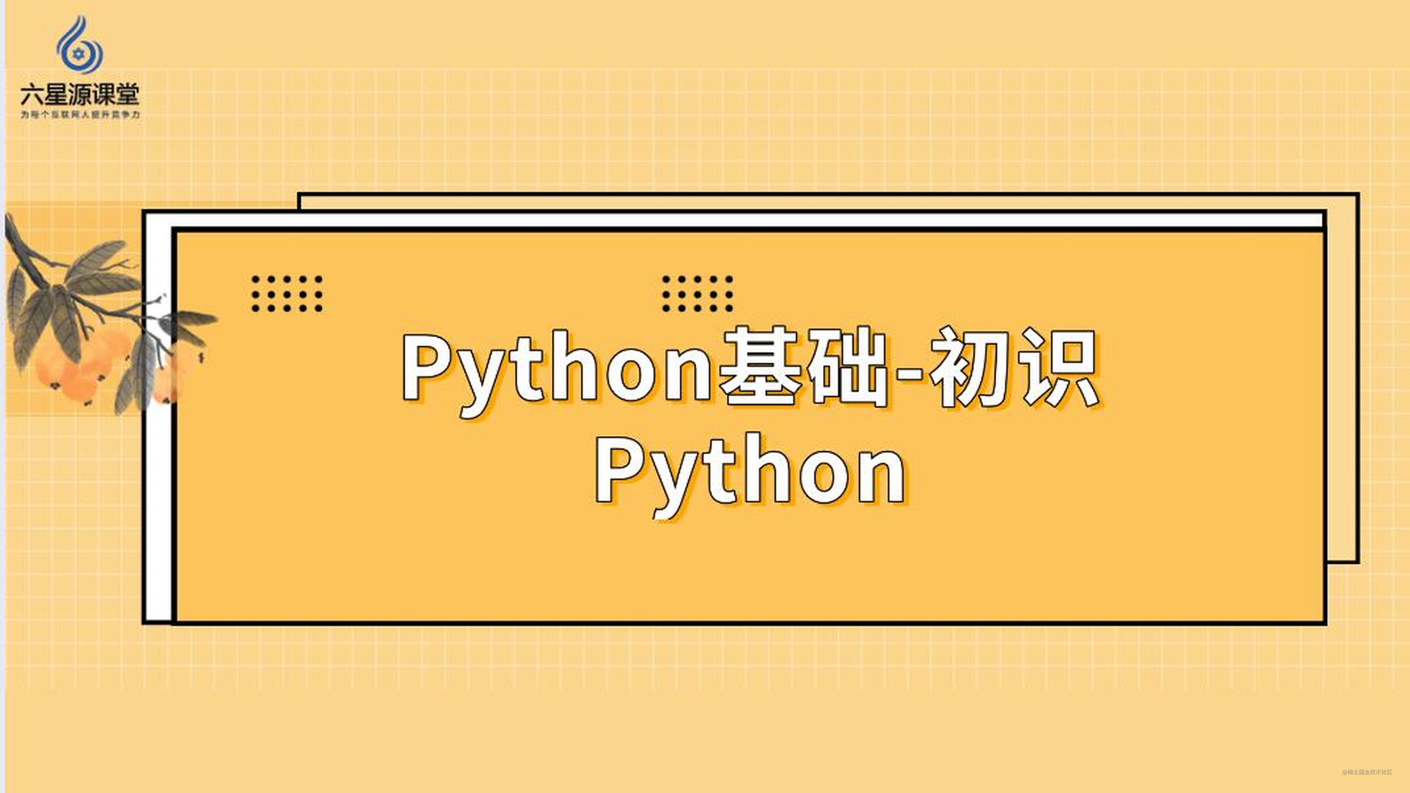 Python基础-初识Python - 掘金